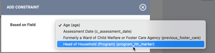 Screen Field Editor: Display Constraints