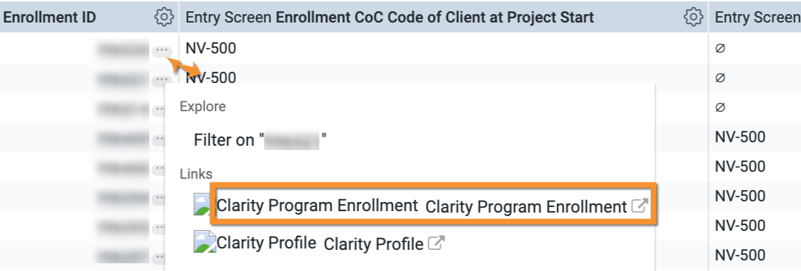 HMIS Performance: Enrollment CoC of Heads of Household