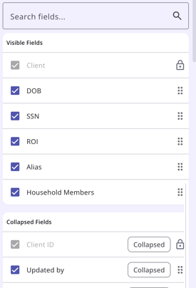 How Do I Search for a Client? (New Clarity Interface)