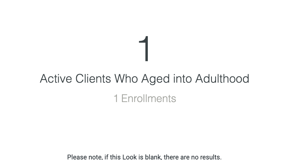 User Active Caseload Dashboard