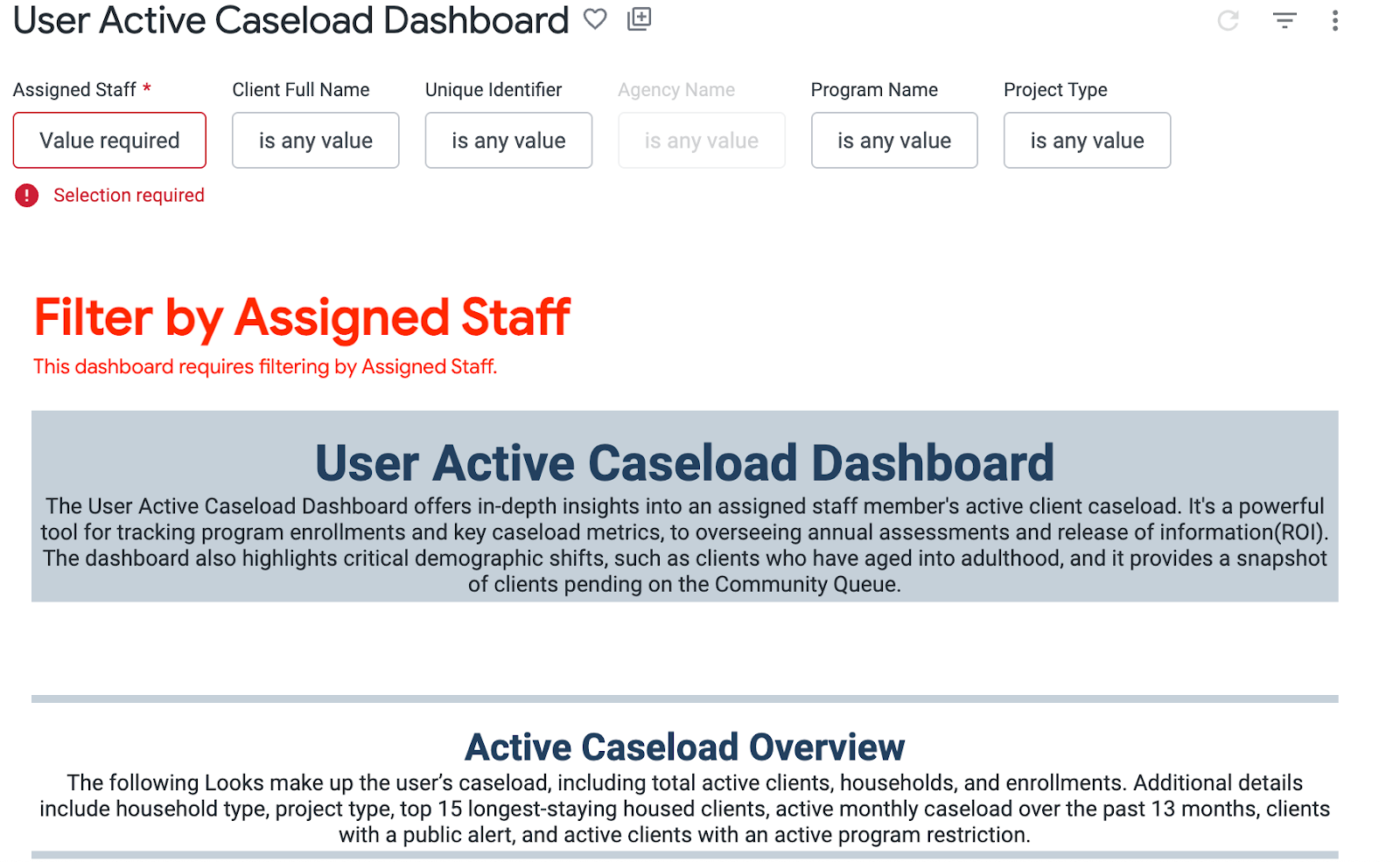 User Active Caseload Dashboard